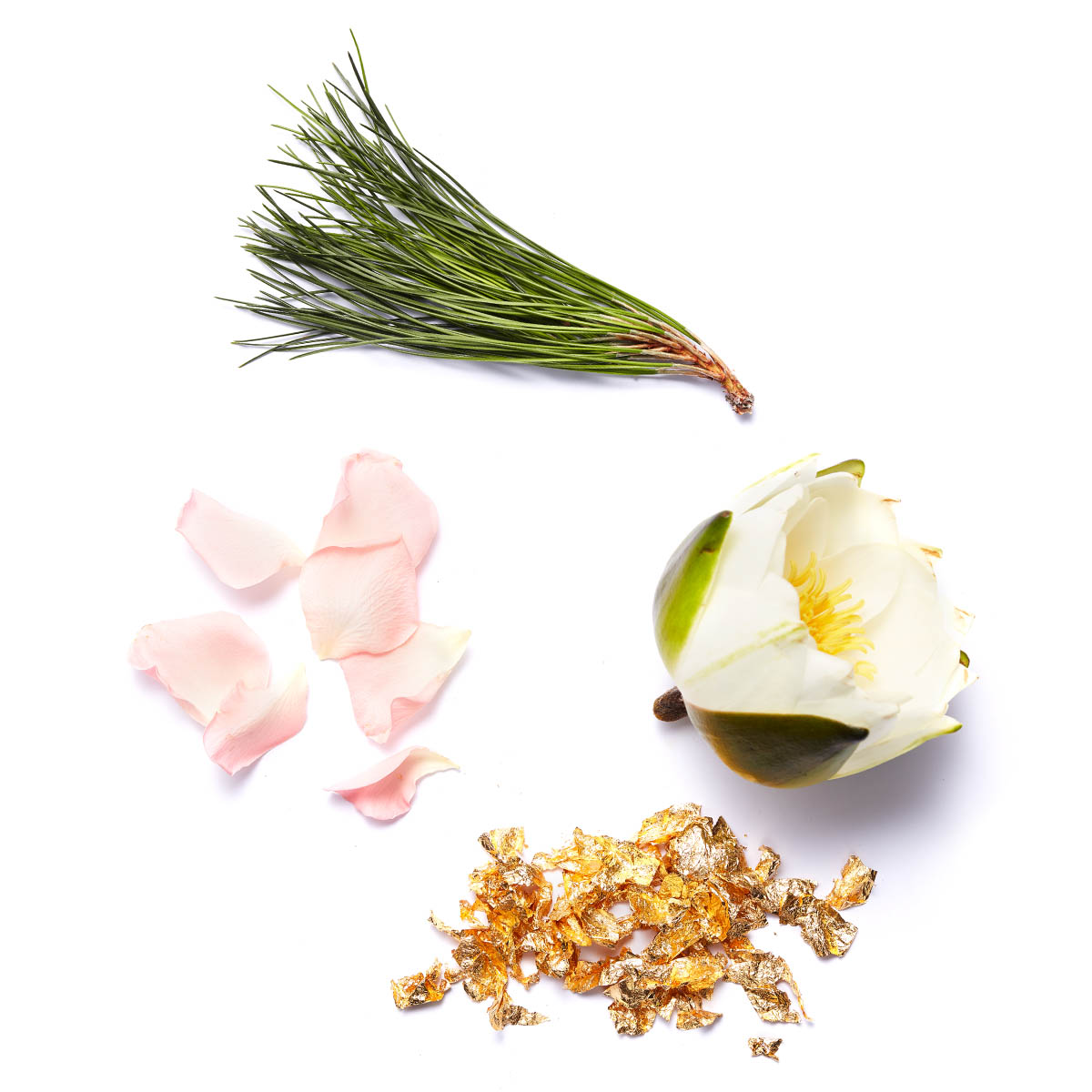 Ingredients - Master Lin